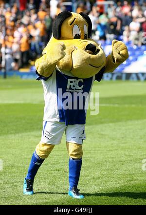 Beau Brummie, Birmingham City mascot Stock Photo - Alamy