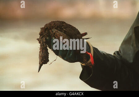 Sumburgh, Shetland. The oil tanker Braer leaves outside Shetland ...