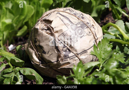 Detail in the Welsh artisan garden by designer Anthea Guthrie, at the ...