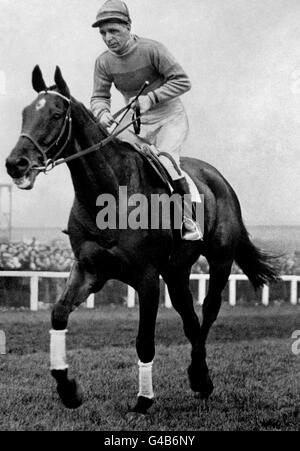 Golden Miller, Gerry Wilson up, winner of the 1934 Grand National, and ...