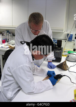Dr Ross McEwing (back) from Edinburgh Zoo's WildGenes Laboratory ...