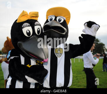 Mrs Magpie, Notts County mascot Stock Photo - Alamy