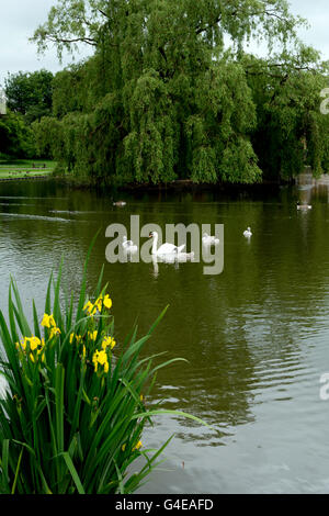 Quinton Pool, Cheylesmore, Coventry, UK Stock Photo - Alamy