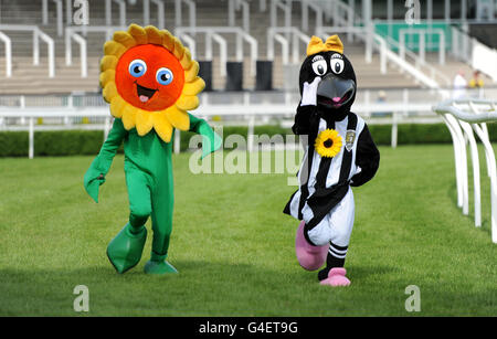 Mrs Magpie, Notts County mascot Stock Photo - Alamy