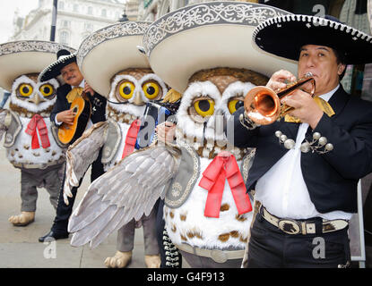 Four Mariachi Owls from the animated film Rango take to the streets of ...