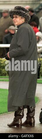 Dual Grand National-winning trainer Jenny Pitman, at Cheltenham Races ...