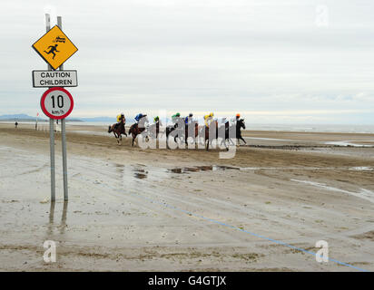 Horse Racing - Laytown races Stock Photo - Alamy