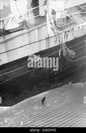 Balaena Whaling Expedition - Antarctica Stock Photo - Alamy