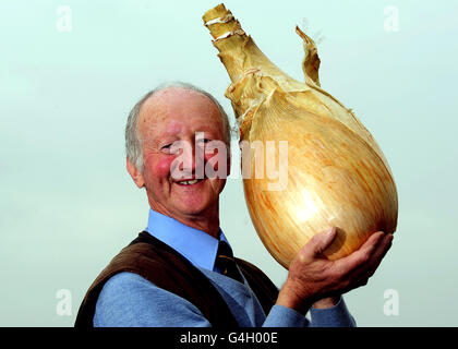 Record breaking onion Stock Photo - Alamy