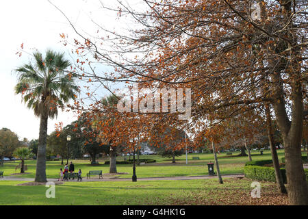 Enmore Park, Marrickville in Sydney, Australia Stock Photo - Alamy