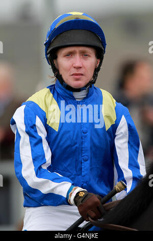 Horse Racing - The Swansea Valley Miners Appeal Fund Raceday - Ffos Las ...