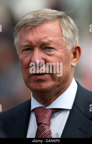 Sir Alex Ferguson in the parade ring after the Ballymore Novices ...