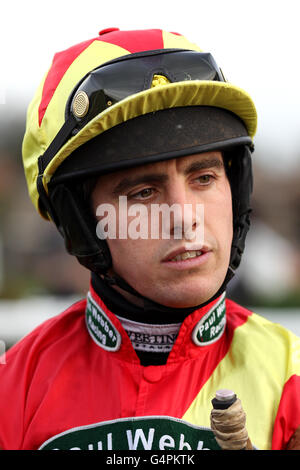 Jockey Dominic Elsworth prior to his ride on Cois Farraig in the ...