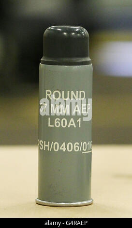 A general view of the Attenuating Energy Projectile (AEP) of the Common ...