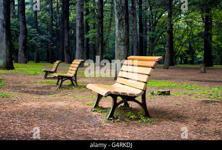 Empty benches and trees in Yoyogi Park in the Shibuya district of Tokyo ...