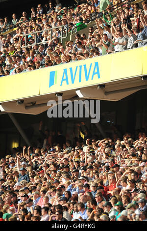 Saracens fans in the stands Stock Photo - Alamy
