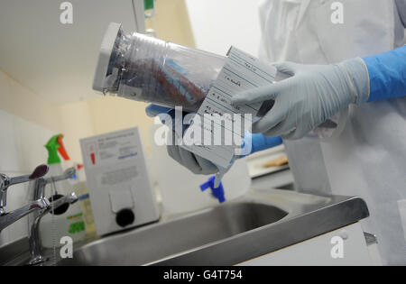 Forensic scientists at work in the LGC Forensics laboratory in Culham ...