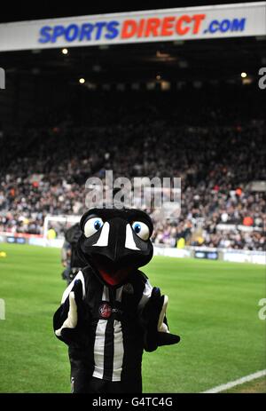 Newcastle United mascot Monty Magpie Stock Photo - Alamy