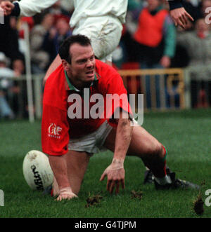 Ieuan Evans, Wales captain and try scorer celebrates at the end of the ...