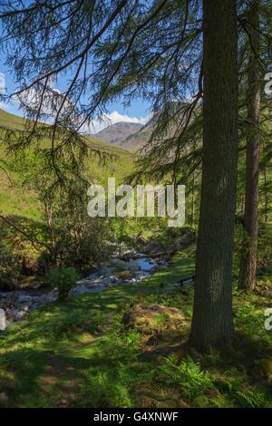 Ritsons Force - Wasdale Head - Lake District National Park Stock Photo ...