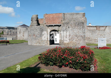 Ireland, County Waterford, Dungarvan, Dungarvan Castle Stock Photo - Alamy