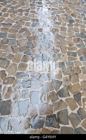wet street tile cobble stone close up perspective pedestrian road view ...