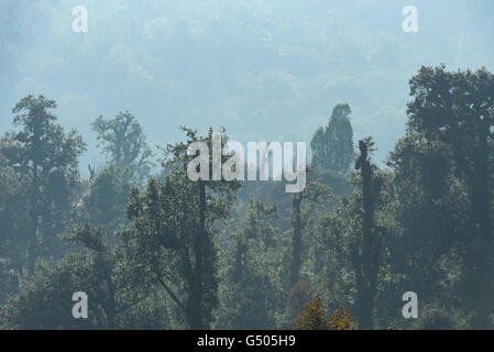 Nepal, Western Region, Shikha, On the Annapurna Circuit - Day 12 - From ...