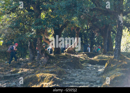 Nepal, Western Region, Shikha, On the Annapurna Circuit - Day 12 - From ...