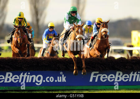 The field jumps a hurdle during the Get Your Ladbrokes Free Ascot Bet ...
