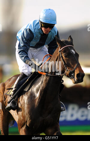 Horse Racing - Southwell Races. Tiradia ridden by jockey Tom Messenger ...