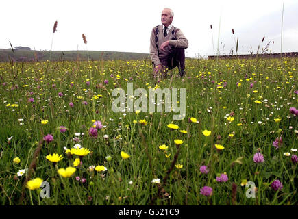 A 65-acre Dales Hill farm has been declared a National Nature Reserve ...