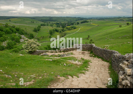 Steps at Malham Cove cliff face Yorkshire UK Stock Photo - Alamy