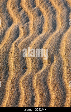 textures in the sand shaped by beautiful warm sunlight Stock Photo - Alamy