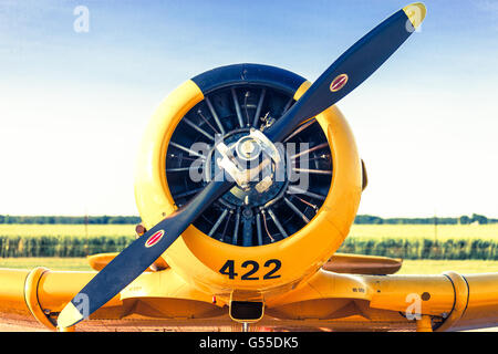 Vintage restored Canadian made Harvard trainer airplanes from WW2 sit ...