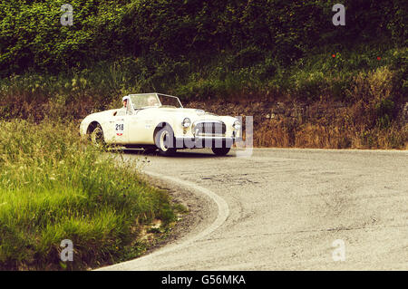 NASH HEALEY SPORTS 3850 cc 1950 on an old racing car in rally Mille ...