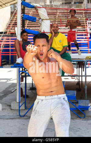 Young boxer training at the famous Gimnasio de Boxeo Rafael Trejo ...