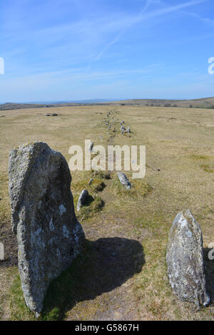 Merrivale Stone Rows on Longash Common, Merrivale Settlement Site ...