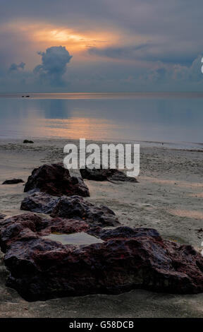 Big blue, Red Sea near Marsa Alam, Egypt, underwater photograph Stock ...
