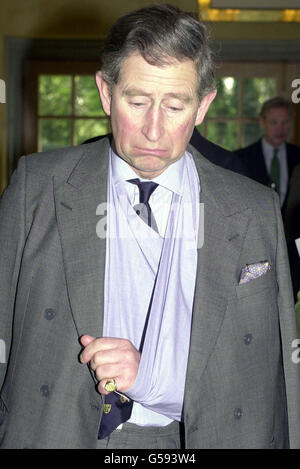 The Prince Albert Medal is awarded for outstanding contributions to the ...