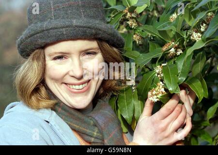 Exbury Gardens , Lionel de Rothschild rhododendrons & azaleas reserve ...