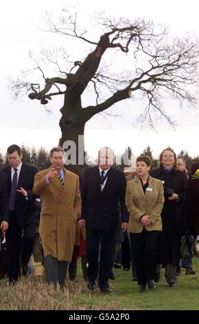 King Charles II oak tree, Parkend, Forest of Dean, summer 2021 Stock ...