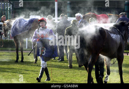 Horse's sweat heavily after taking part in the Ripon Selling Handicap ...