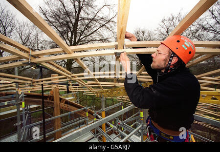 Gridshell timber roof made from renewable sources in the canteen area ...