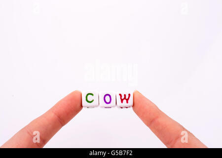 Fingers hold colorful cubic letters of alphabet form the word ''cow ...