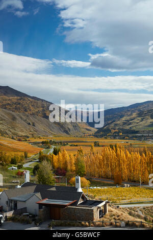 The Winery Restaurant, Mt Difficulty Vineyard, Bannockburn, near ...