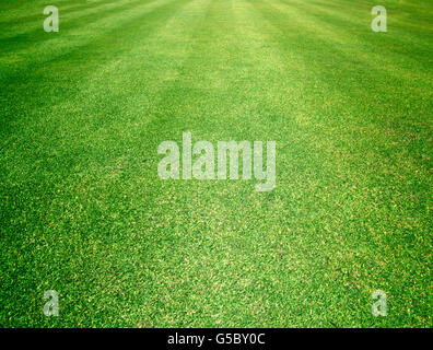 Golf Courses green lawn pattern background texture Stock Photo - Alamy