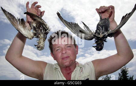 DANNY CUNNINGHAM CANNES FILM FESTIVAL 2002 CANNES FILM FESTIVAL CANNES ...
