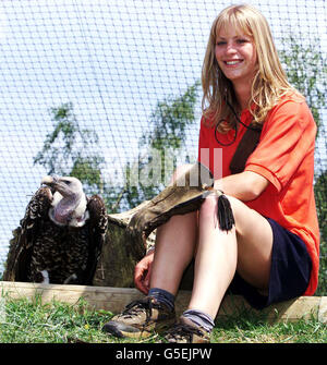 Foster the Vulture with his handler Jo Lobb in the aviary at Banham Zoo ...
