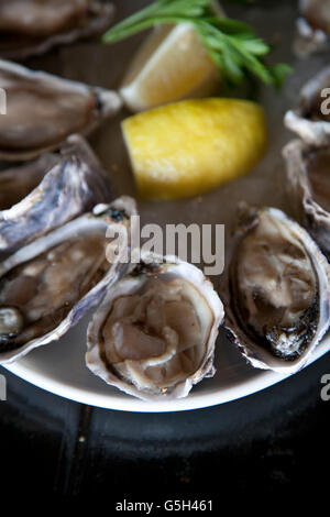 Fresh Walvis Bay Oysters in Namibia Stock Photo - Alamy