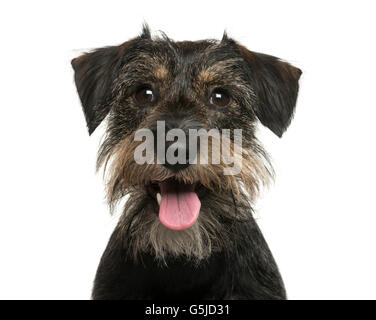 Close up of the Cross in open Holy Bible. Faith, spirtuality and ...